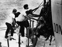 MV Doña Paz on emaze