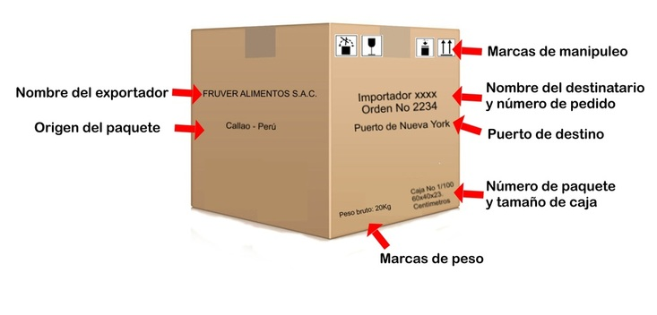 Portfolio at emaze Presentation