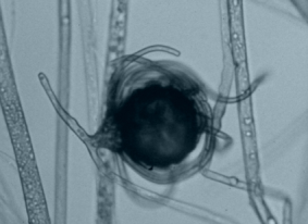 Untitled at emaze Presentation