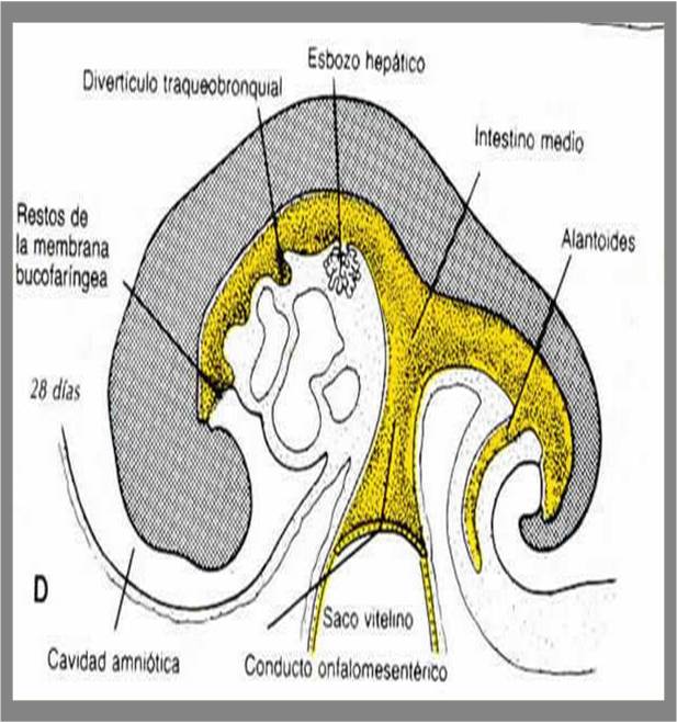 Presentation Name at emaze Presentation