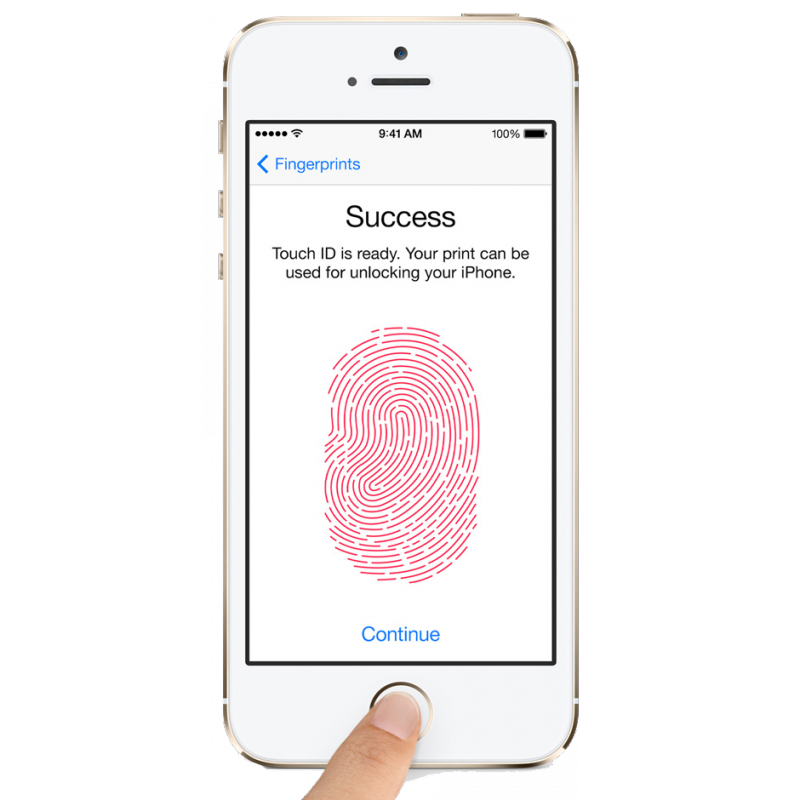 Fingerprint Identification On Emaze