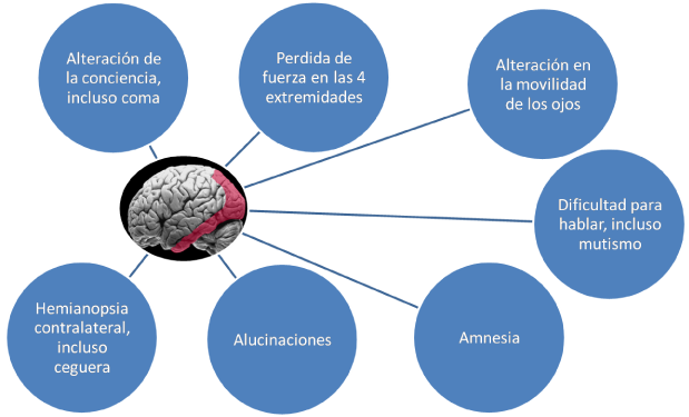 Accidentes Cerebrovasculares Pptx At Emaze Presentation