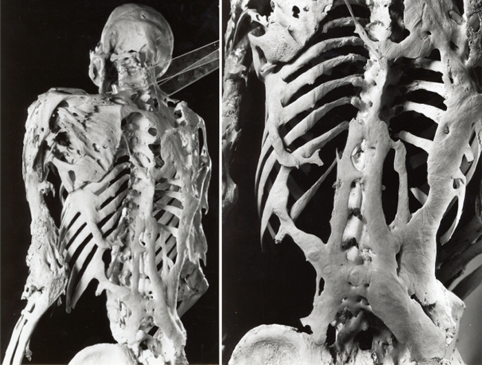 FOP at emaze Presentation