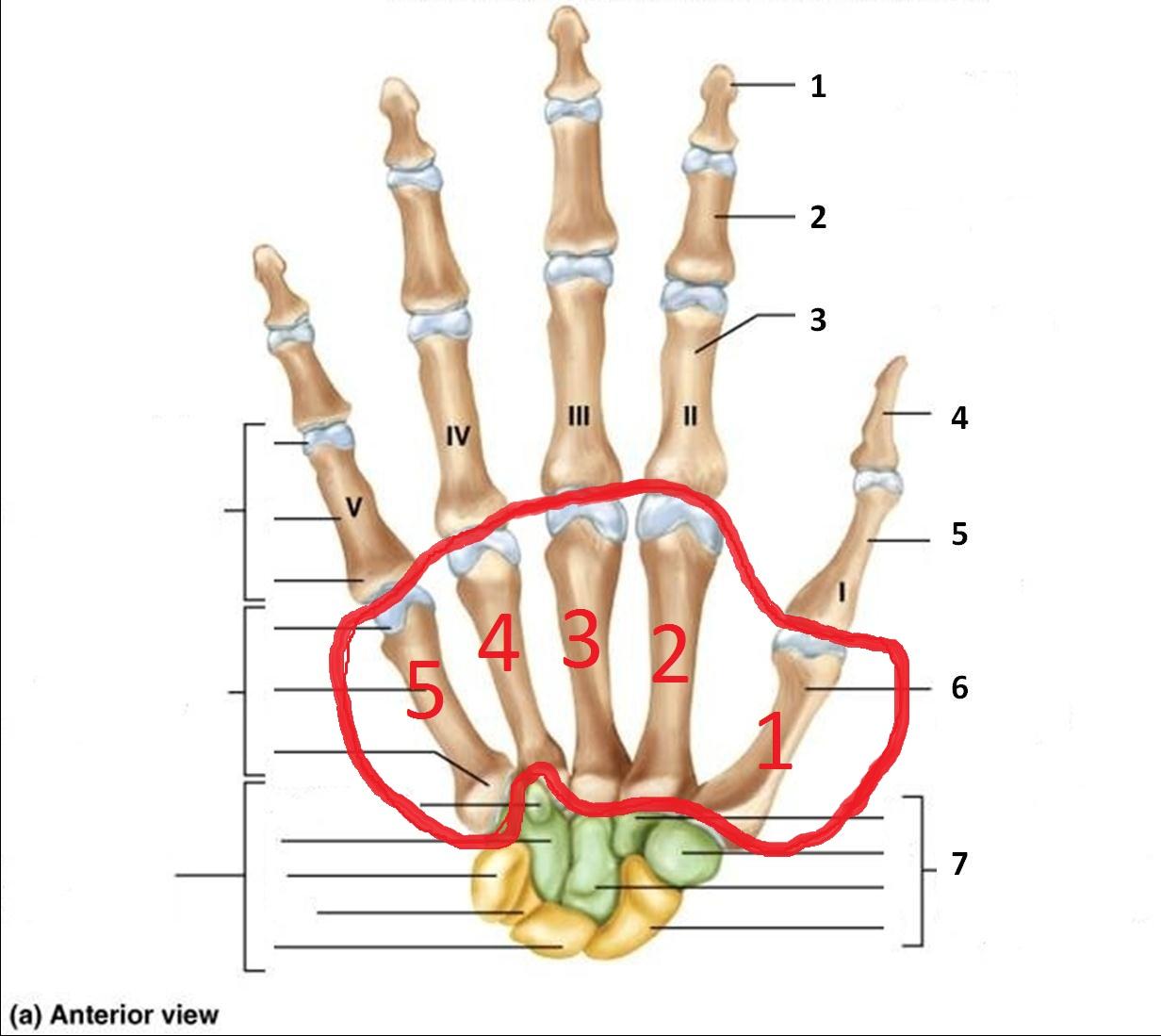 Lesson 7 at emaze Presentation