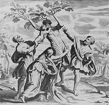 Dryopé changée en arbre on emaze