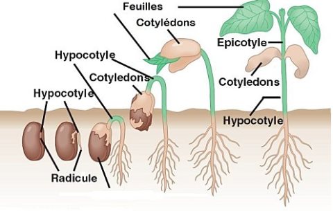 Presentation Name on emaze