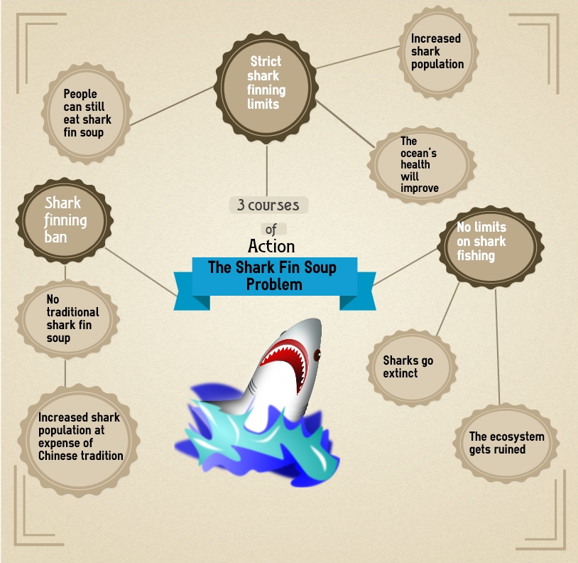 The Decline of the Shark Population on emaze