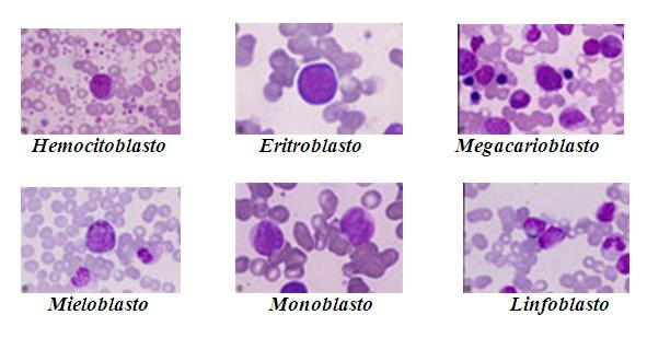 SANGRE.pptx at emaze Presentation