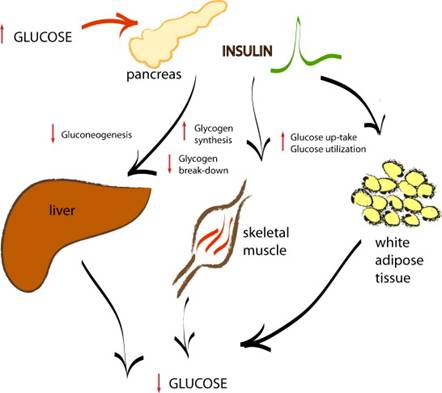 A-Z at emaze Presentation