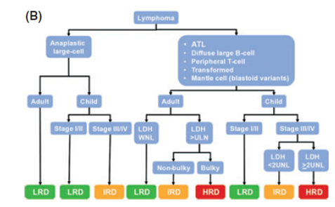 Tumor Lysis Syndrome- Oncology Emergency.pptx on emaze