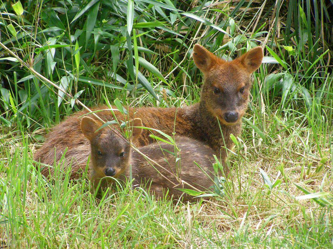 Presentation Name on emaze