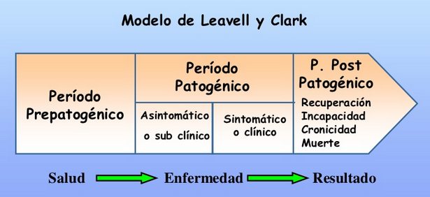 Historia Natural de la Enfermedad on emaze