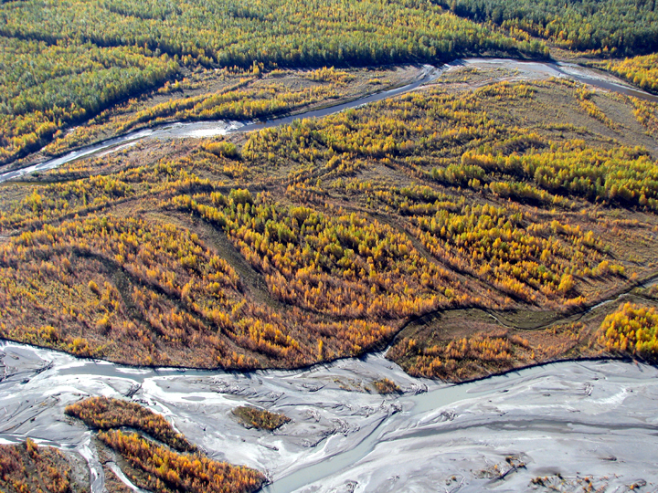 Taiga at emaze Presentation