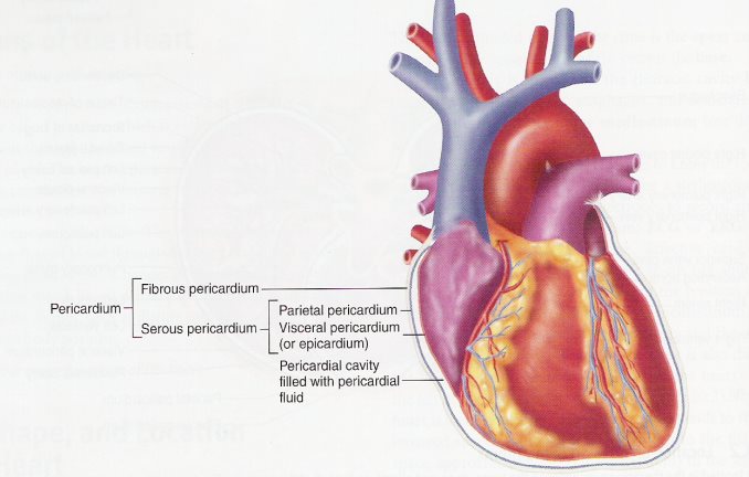Presentation Name on emaze