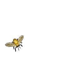 Gif De Abeja Animada Bee Movie Memes E GIFs Engraçados