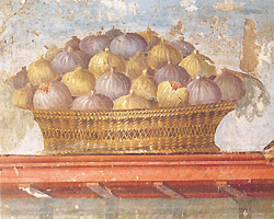 Les Romains on emaze