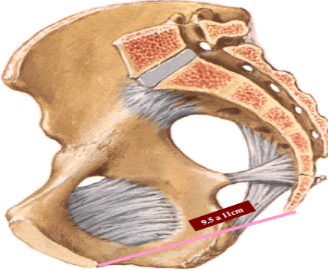 Untitled at emaze Presentation
