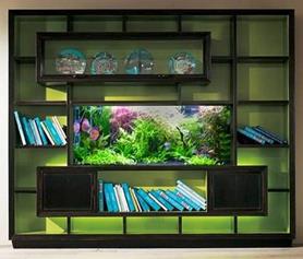 Presentation Name at emaze Presentation