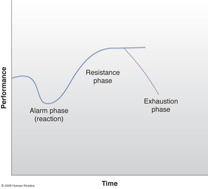 Lecture 4 - Periodization.pptx on emaze