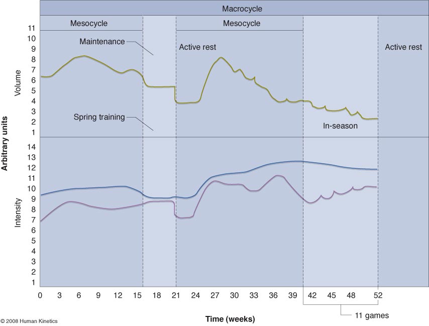 Lecture 4 - Periodization.pptx on emaze