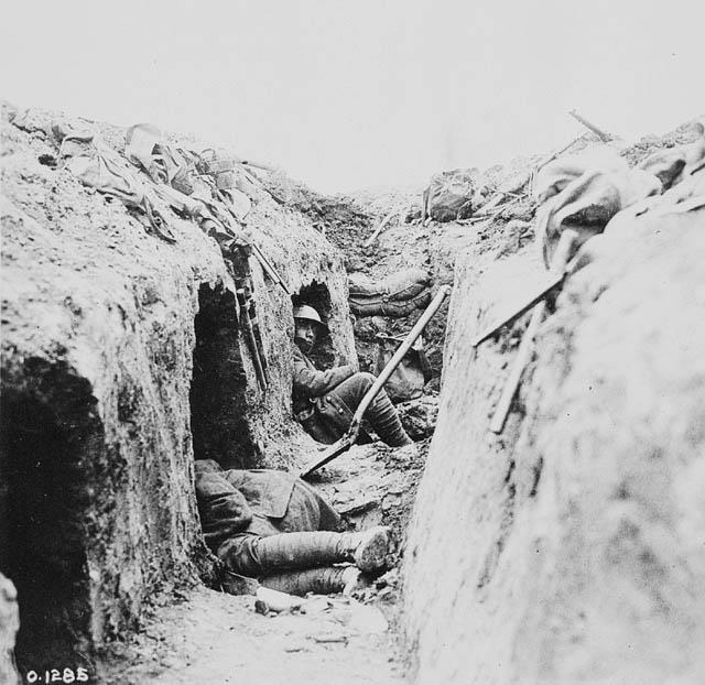 Diseases of World War 1 at emaze Presentation