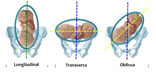 Presentation Name at emaze Presentation