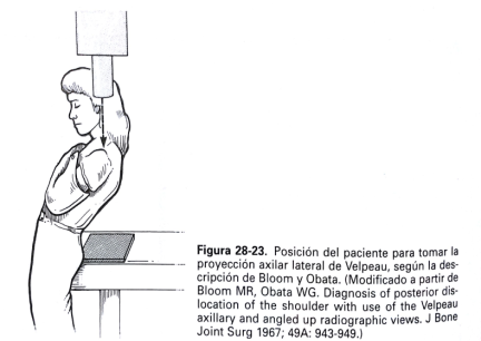 Presentation Name on emaze