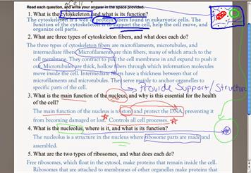 AVID: Marking and Annotating Text on emaze