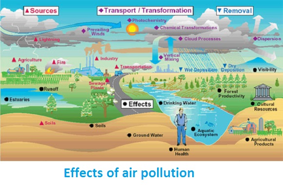 ELA Pollution at emaze Presentation