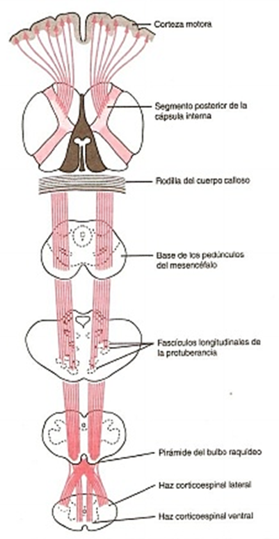 SISTEMA at emaze Presentation
