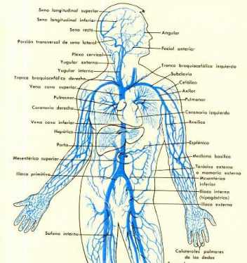 Presentation Name on emaze
