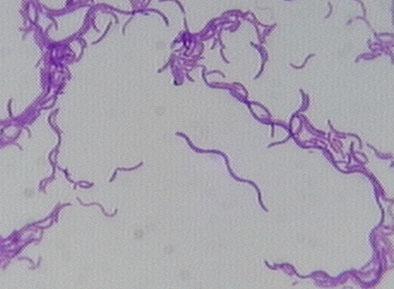 Presentation TPE at emaze Presentation