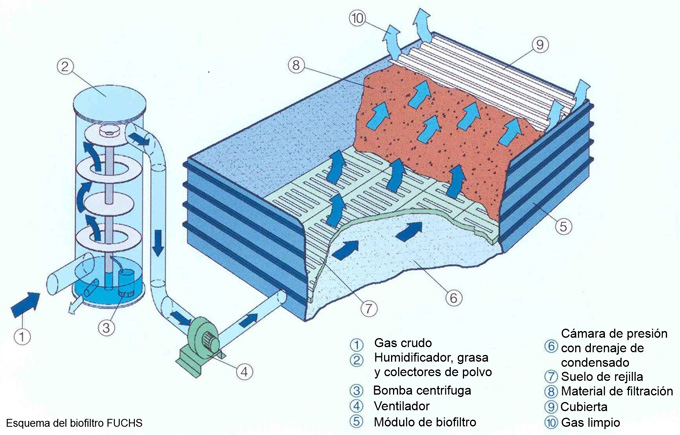BIOFILTROS DE AIRE on emaze