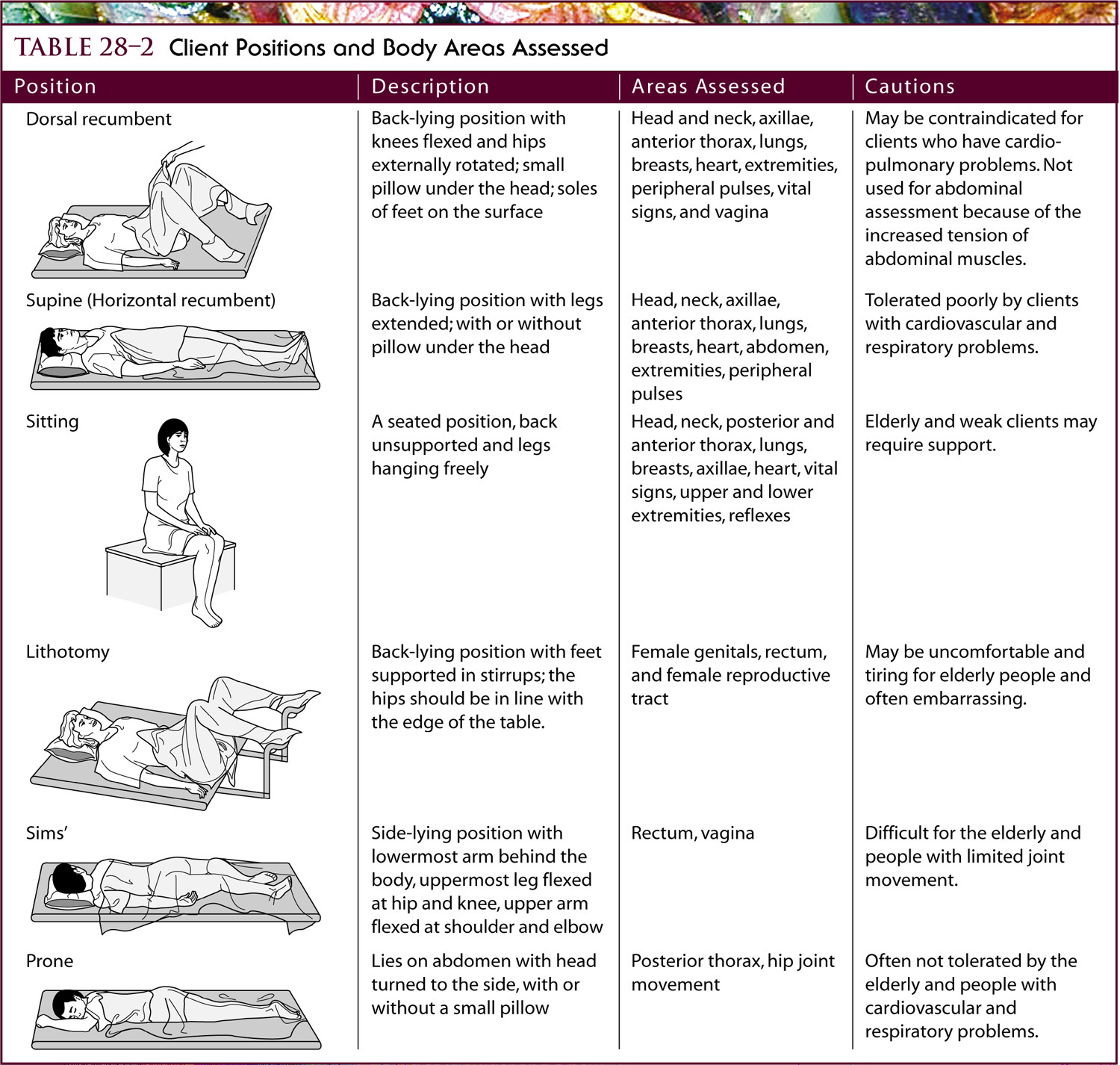 Physical Assessment.pptx on emaze