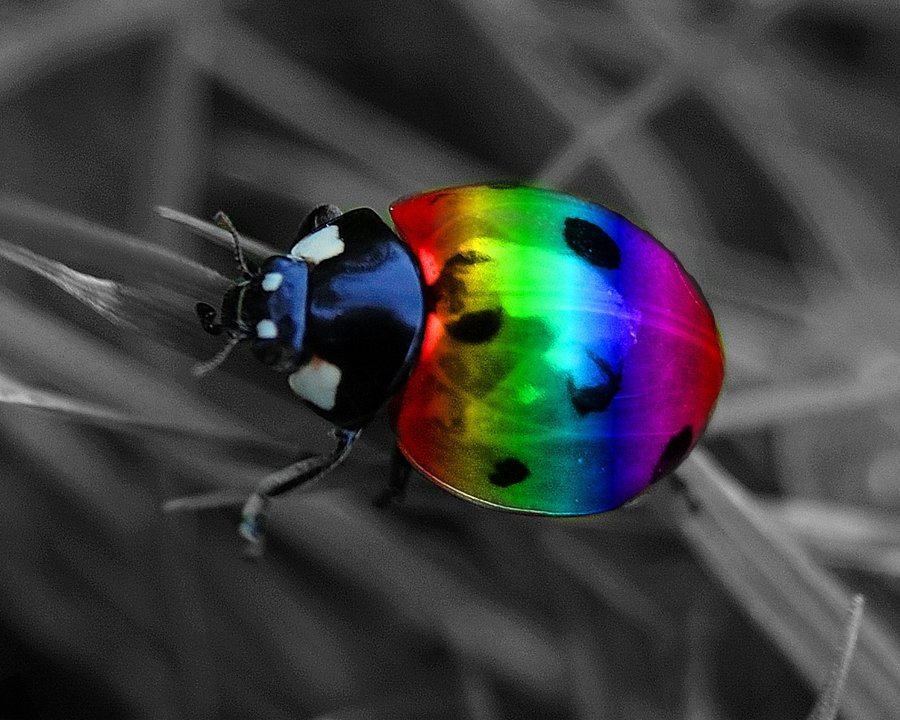 Presentation Name on emaze