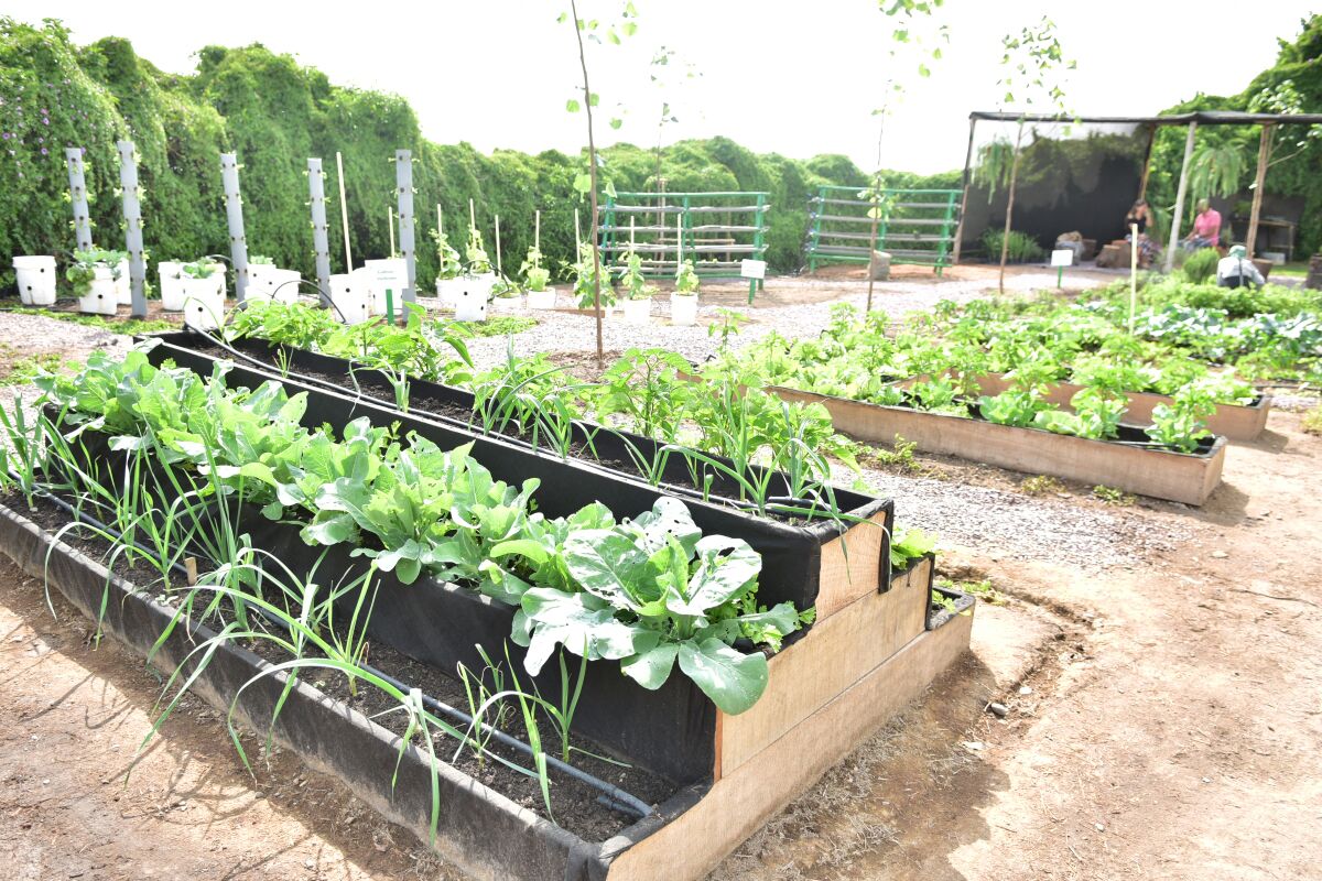 BIOHUERTO at emaze Presentation