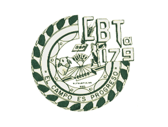 Branch Out at emaze Presentation