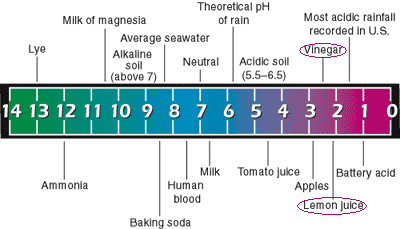 Acid rain Research project on emaze