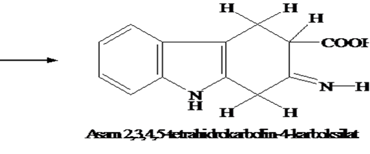 Hopkins-Cole's Test at emaze Presentation