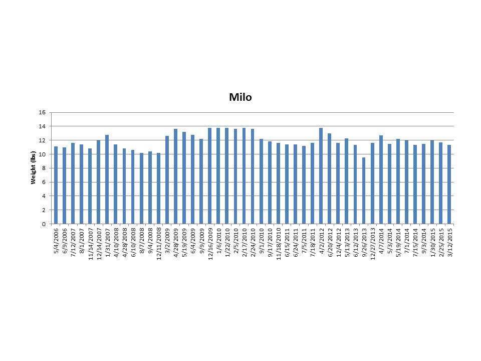 Tools, Strategies & Dialogues2015 (2).pptx copy1 copy1 copy1 copy2 on emaze