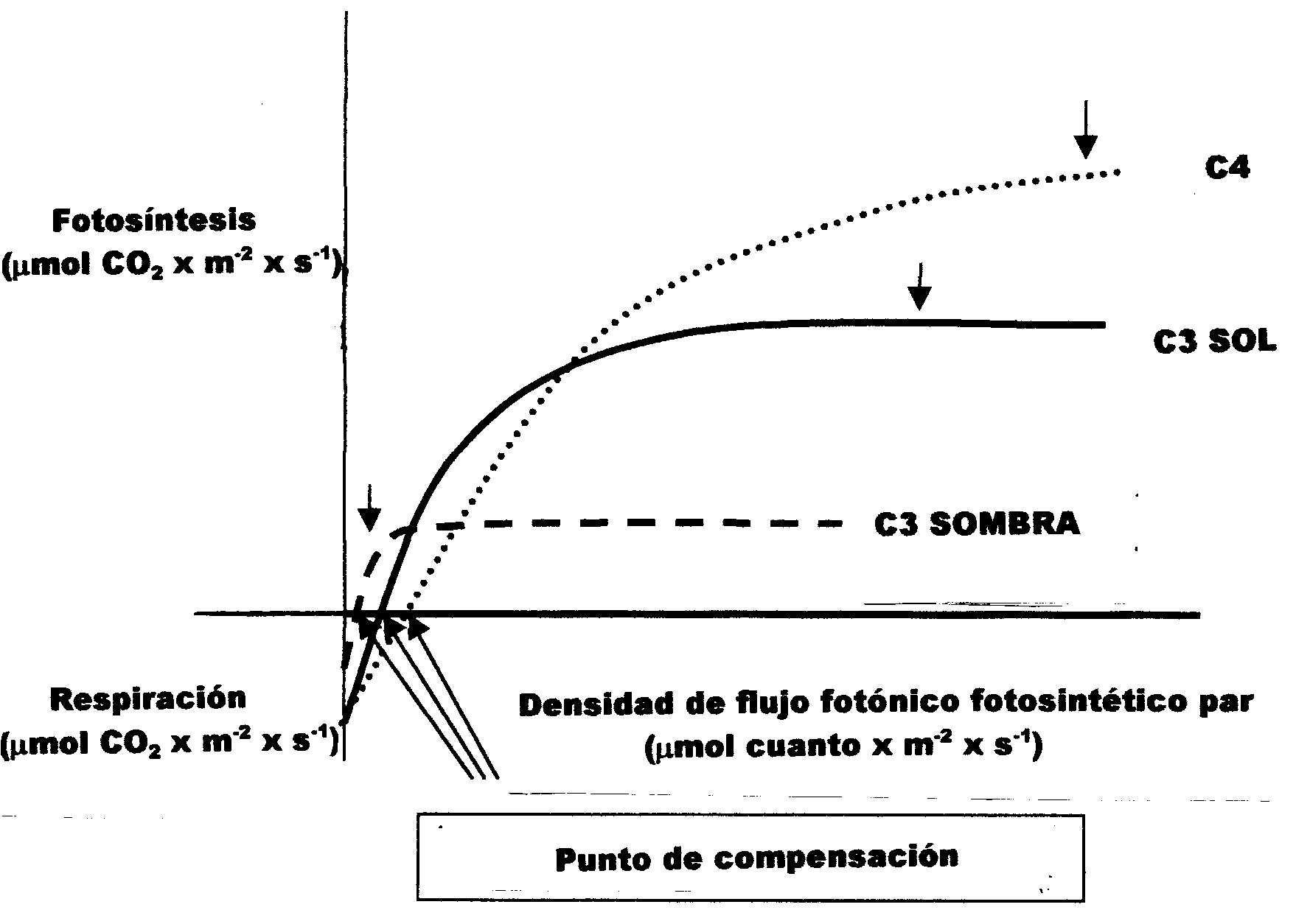 wacala.pptx at emaze Presentation