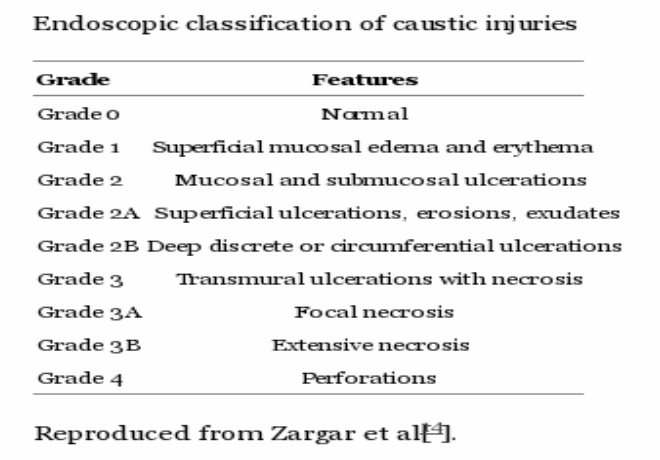 Untitled at emaze Presentation