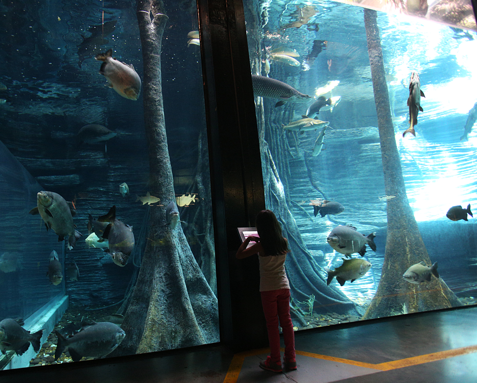 Parque explora at emaze Presentation