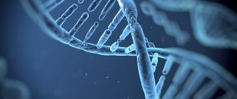 Fiche métier d'un généticien at emaze Presentation