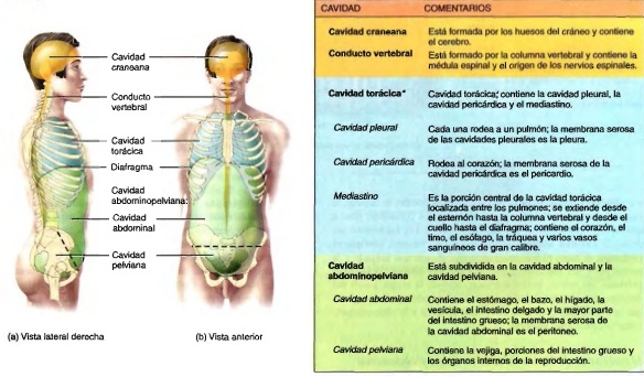 CAVIDADES at emaze Presentation