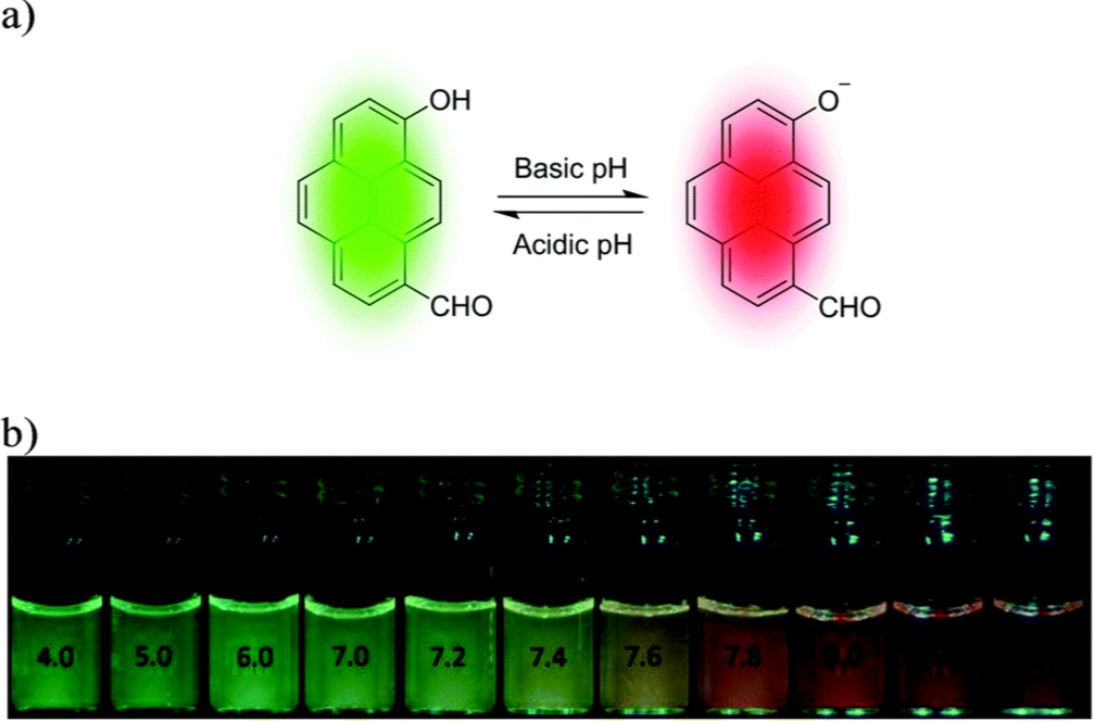 Probes in Chemical Biology at emaze Presentation