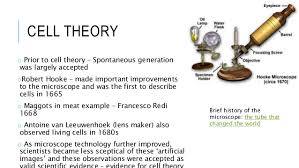 Cell Theory Example