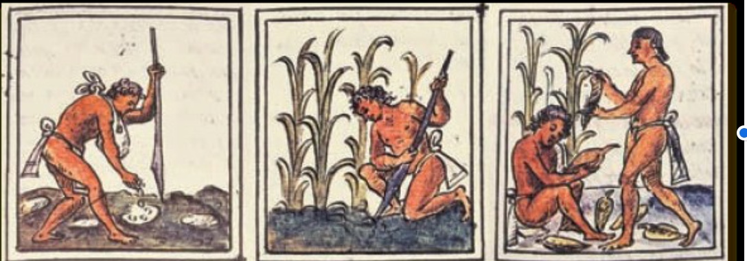 Toltecas on emaze