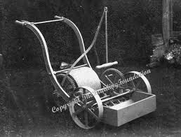 Edwin Beard Budding at emaze Presentation