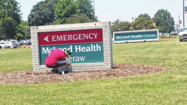 McLeod Regional Hospital System at emaze Presentation